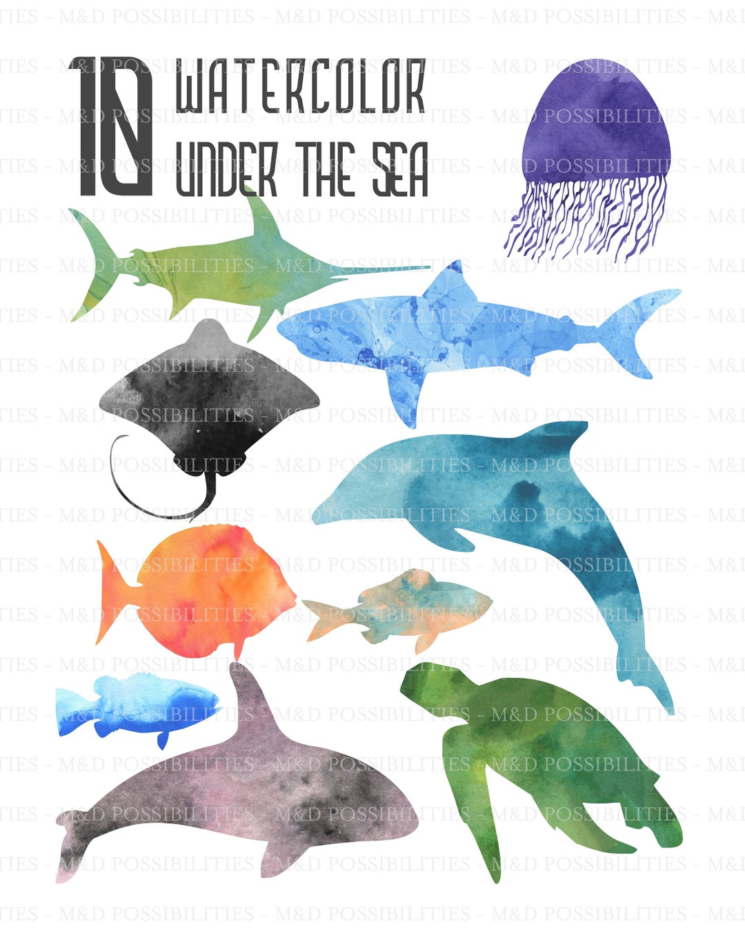 10 Watercolor Under the Sea Creatures. Images. Digital Download - Etsy