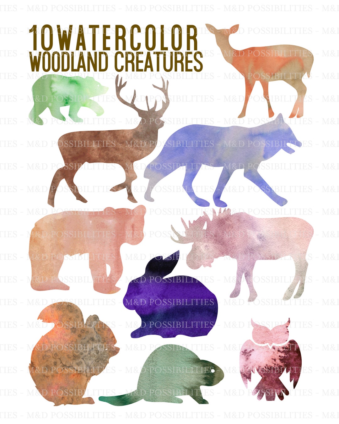 10 Watercolor Woodland Creatures. Images. Digital Download - Etsy