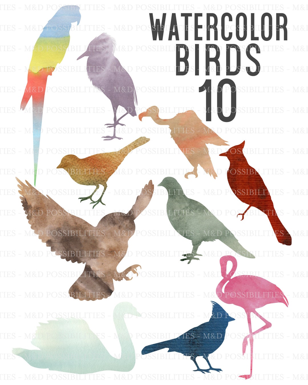 10 Watercolor Birds. Images. Digital Download - Etsy