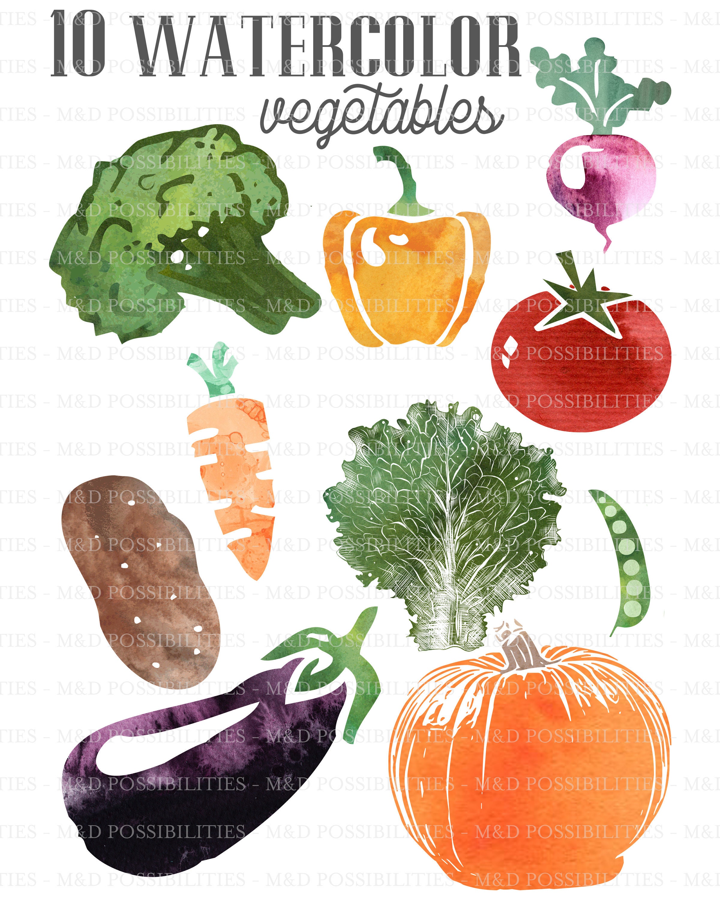 10 Watercolor Vegetables. Images. Digital Download - Etsy