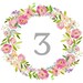 Digital Download. Floral Watercolor Table Numbers. Boho Pastel. - Etsy