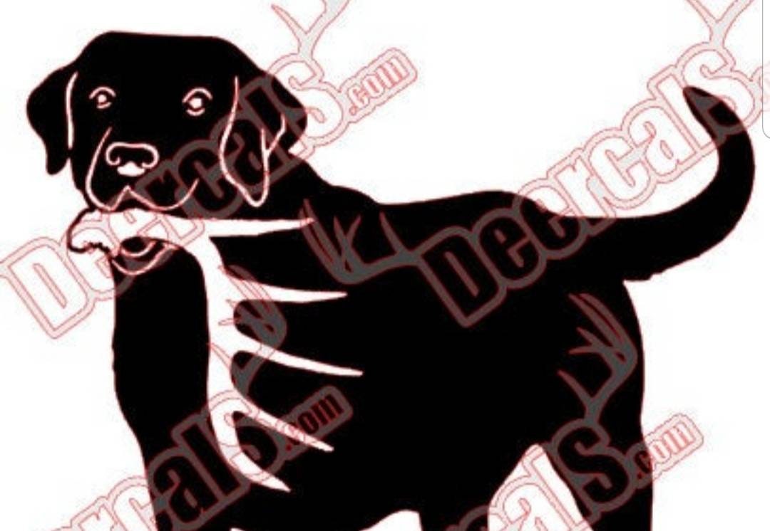 Shed Antler Dog Decal Sticker Hunting Lab Labrador Retriever - Etsy