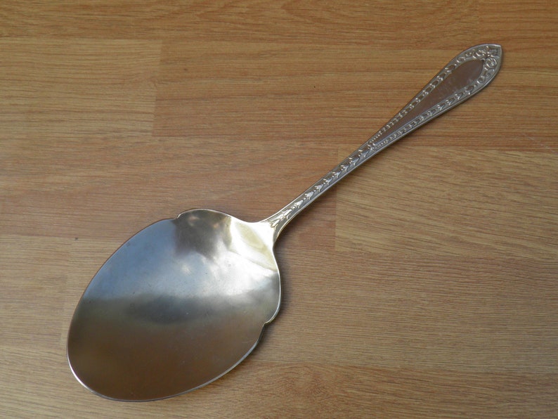 Silver Plated Fish Serving Spoon & Fork Set - Etsy