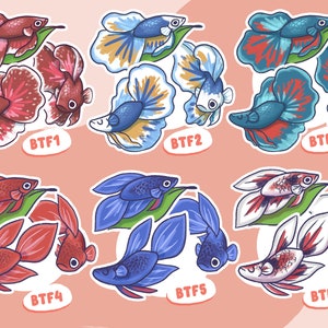 Betta Fish Sticker Set Custom (choose Your Betta Fish Color! Veiltail ...