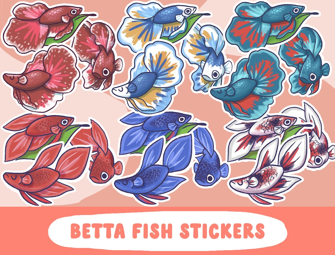 Betta Fish Sticker Set Custom (choose Your Betta Fish Color! Veiltail ...