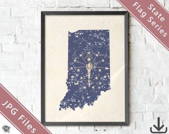 Indiana Flag License Plate IN State Official Flag Symbol Auto - Etsy
