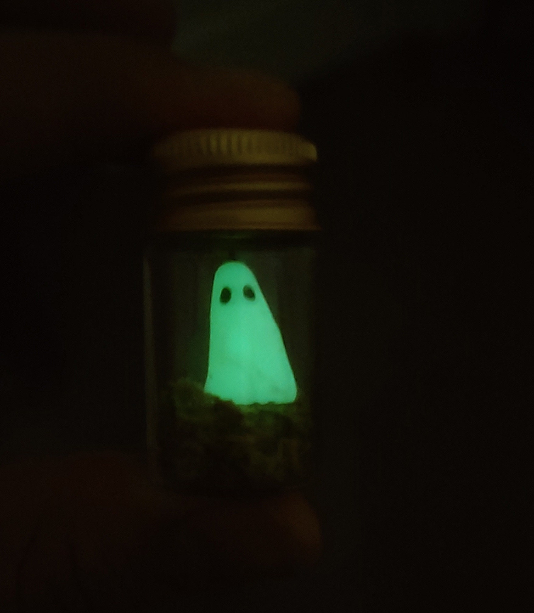 Pet Ghost in A Jar, Glow in the Dark Ghost, Mini Ghost, Ghost Decor ...
