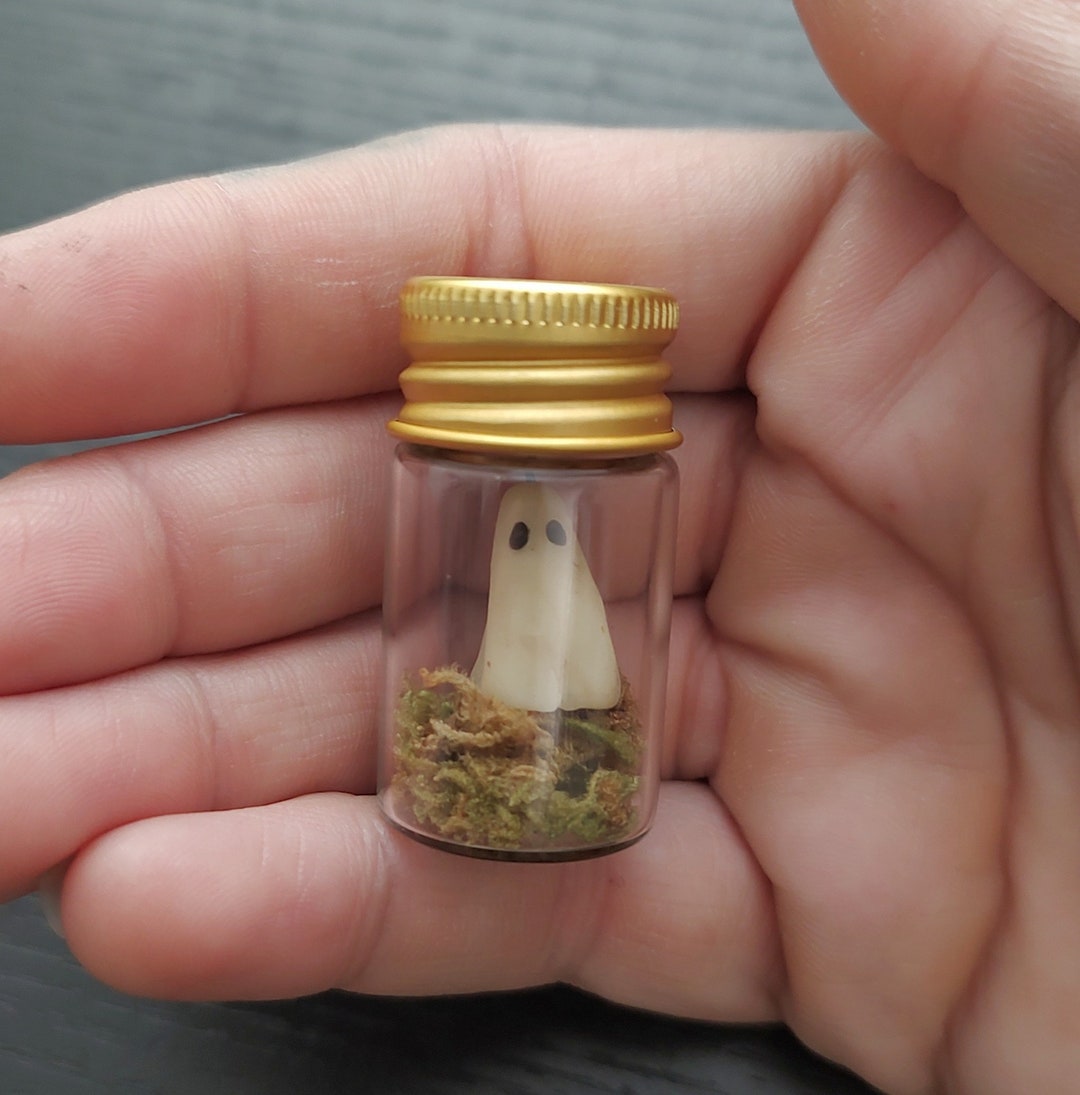 Pet Ghost in A Jar, Glow in the Dark Ghost, Mini Ghost, Ghost Decor ...