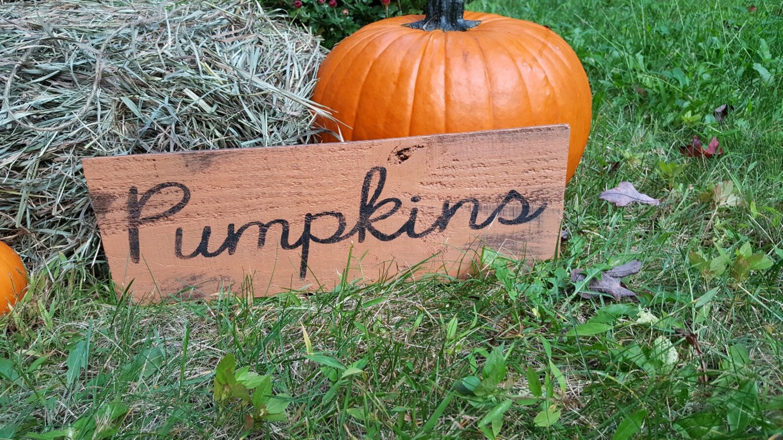 Pumpkin Sign, Fall Decor, Wood Sign - Etsy