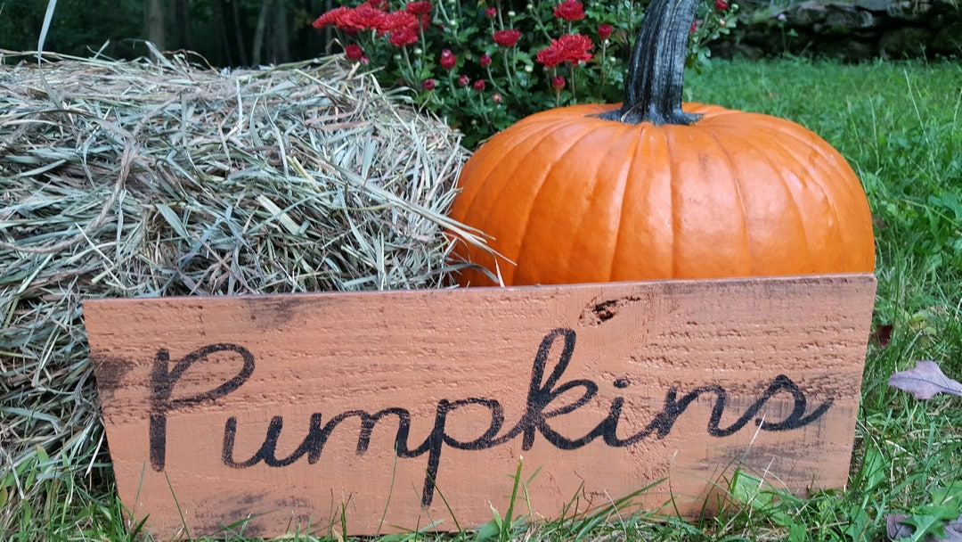 Pumpkin Sign, Fall Decor, Wood Sign - Etsy