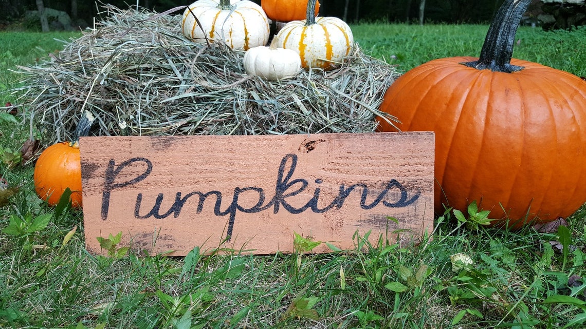Pumpkin Sign, Fall Decor, Wood Sign - Etsy