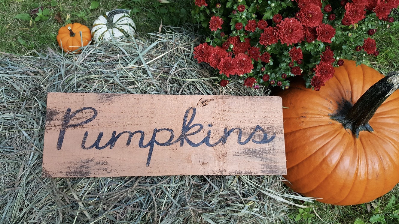 Pumpkin Sign, Fall Decor, Wood Sign - Etsy