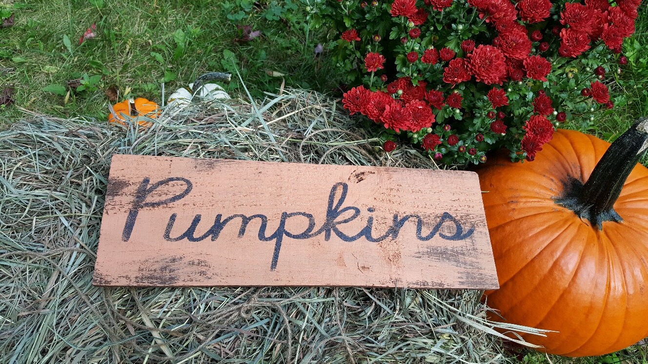 Pumpkin Sign, Fall Decor, Wood Sign - Etsy