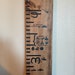 Disney Growth Chart Ruler With Ride Heights Disneyland Disney World (no ...