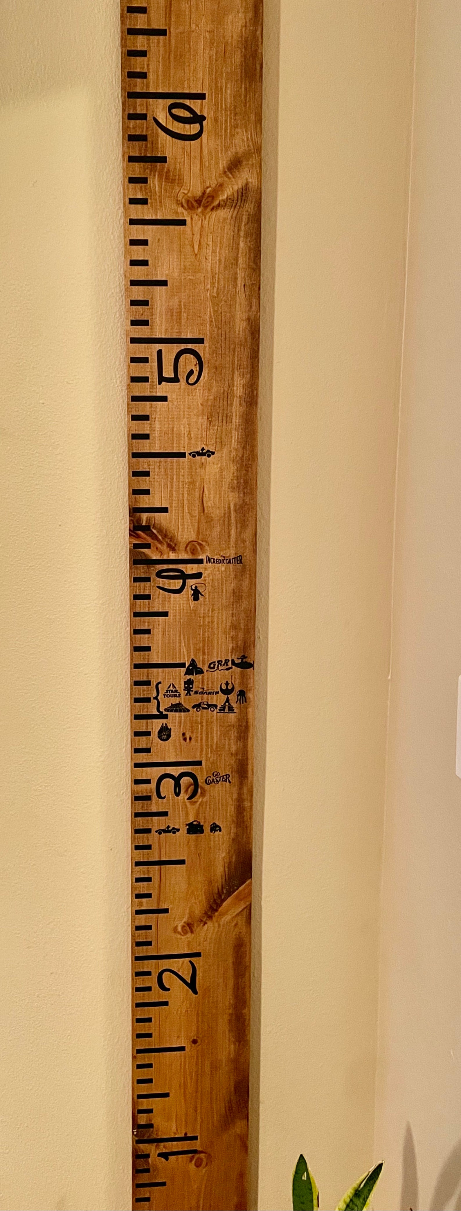 Disney Growth Chart Ruler With Ride Heights Disneyland Disney - Etsy