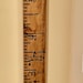 Disney Growth Chart Ruler With Ride Heights Disneyland Disney World (no ...