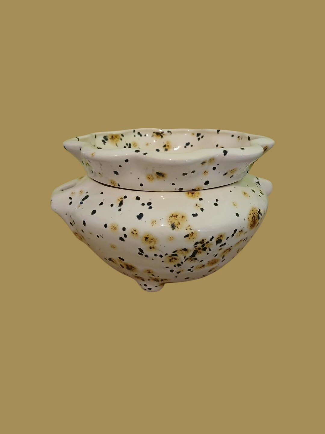 Self Watering Planter / Ceramic / Cheetah Glaze / African Violet Pot ...