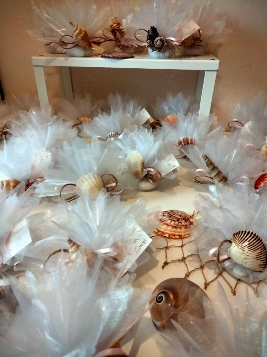 Seashell Surprise: Beach Themed Wedding Favors for a Coastal ...