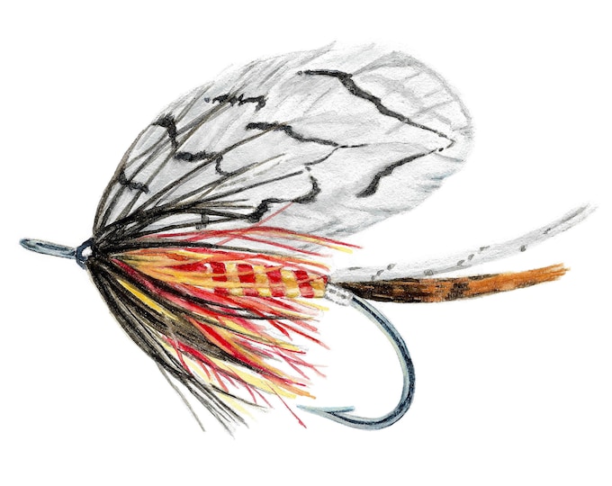 Watercolor Fly Print , Unframed Fishing Print, Fly Fishing Gifts, Fly ...