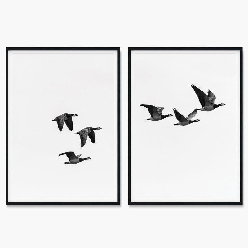 Flying Bird Wall Art - Etsy