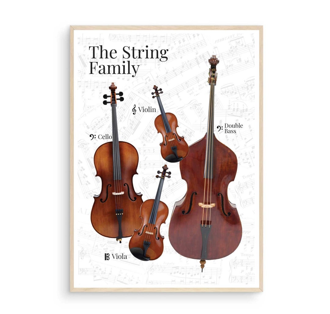 The String Family Music Educational Poster Violin Viola Cello Double ...
