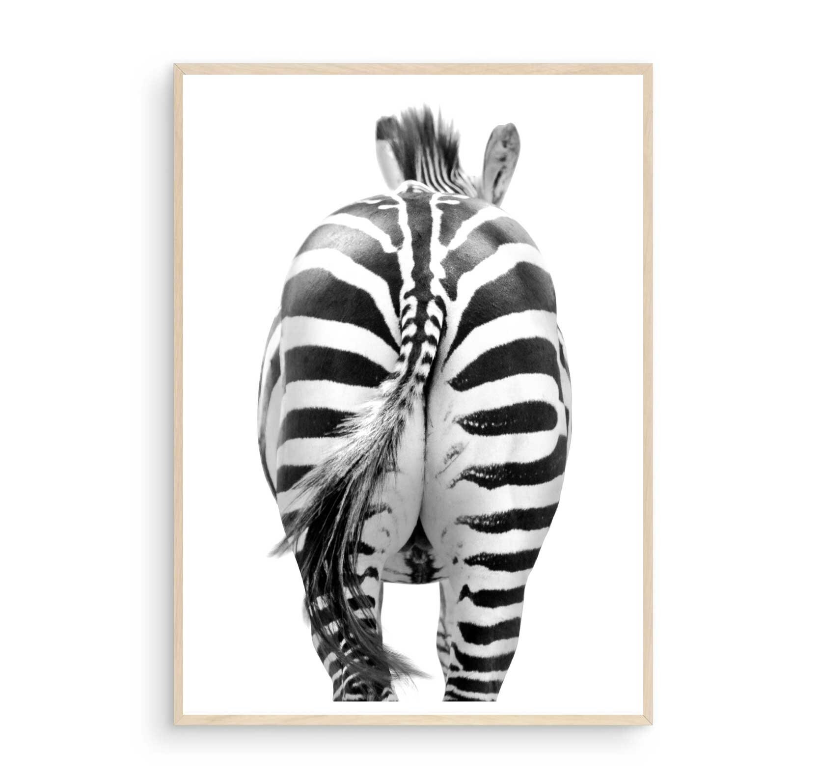 Zebra Butt Print Zebra Bum Poster Zebra Poster Zebra Print - Etsy