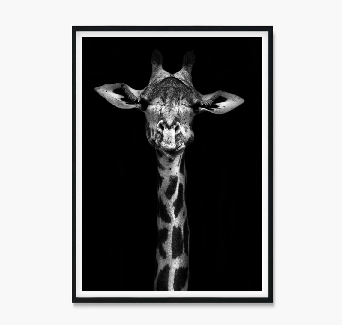 Giraffe Poster Giraffe Print Giraffe Wall Art Safari - Etsy