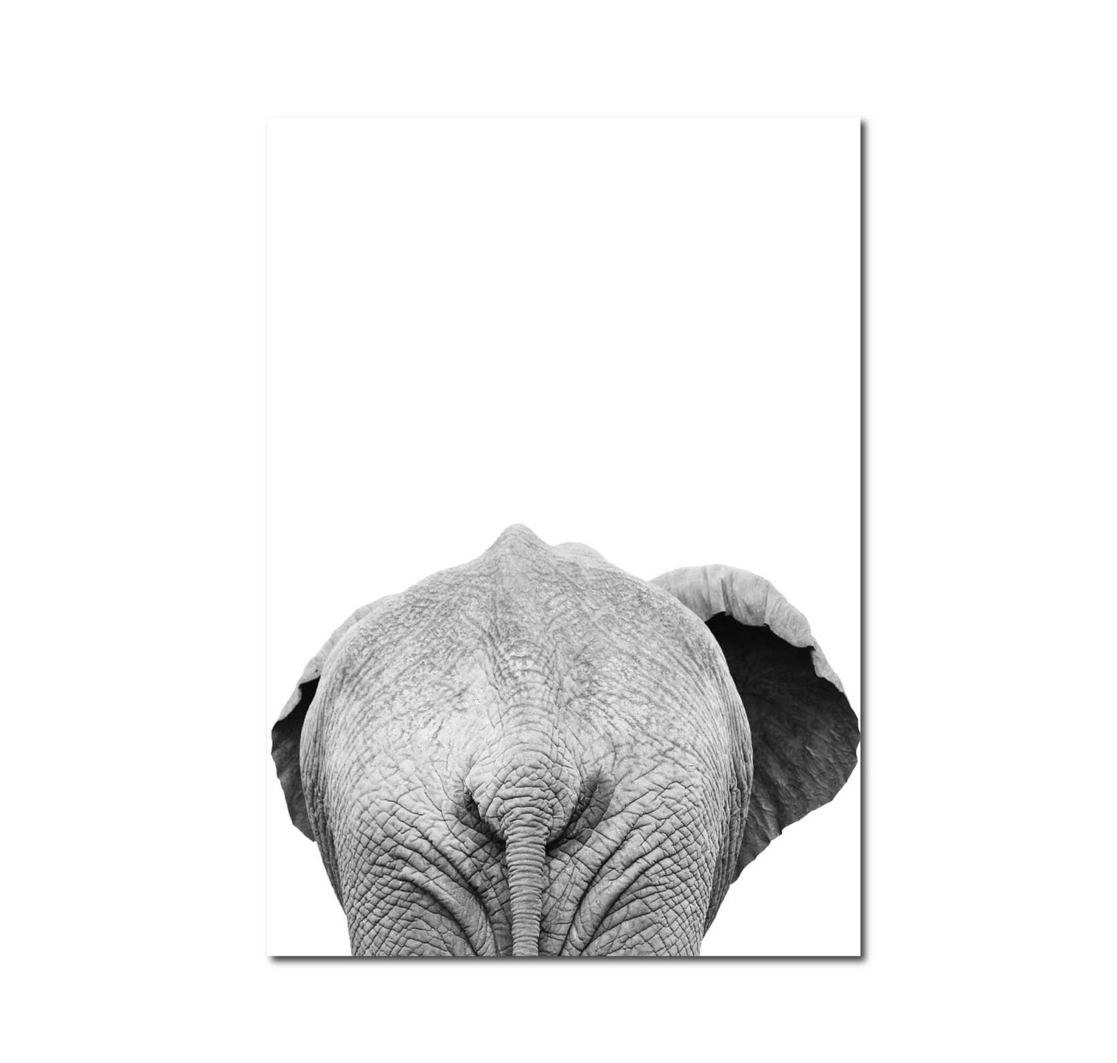 Elephant Butt Print Elephant Bum Poster Elephant Print - Etsy UK