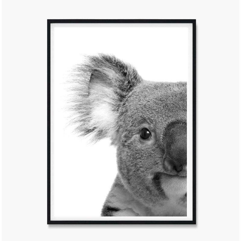 Koala Print - Etsy Australia