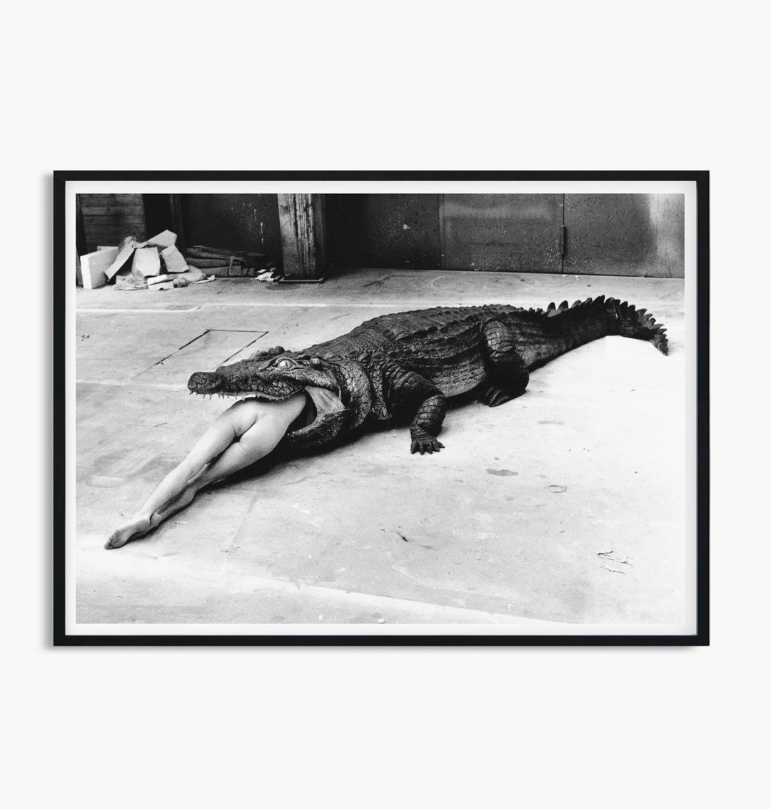 Croc Eating Lady Art , Crocodile Eating Ballerina Wall Art, Vintage ...