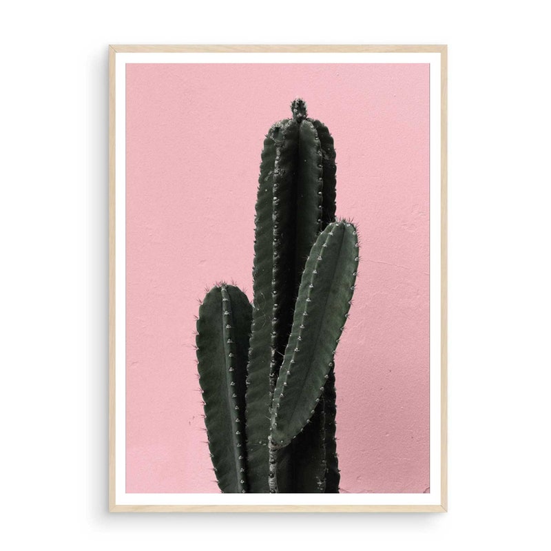 Cactus Poster - Etsy