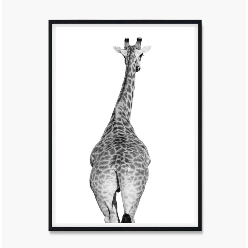 Animal Butt Prints - Etsy