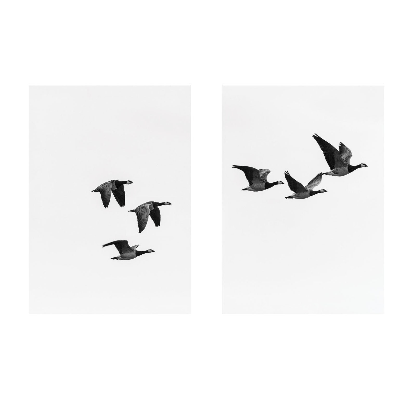 Geese Prints Goose Poster Flying Birds Wall Art Flying | Etsy