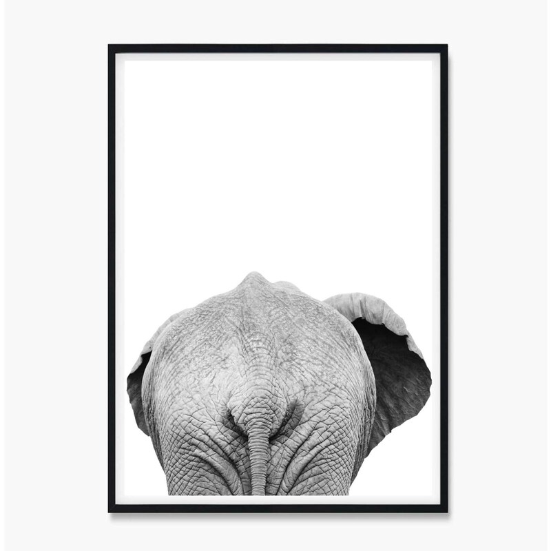 Elephant Butts - Etsy