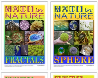 Math in Nature Posters - Etsy