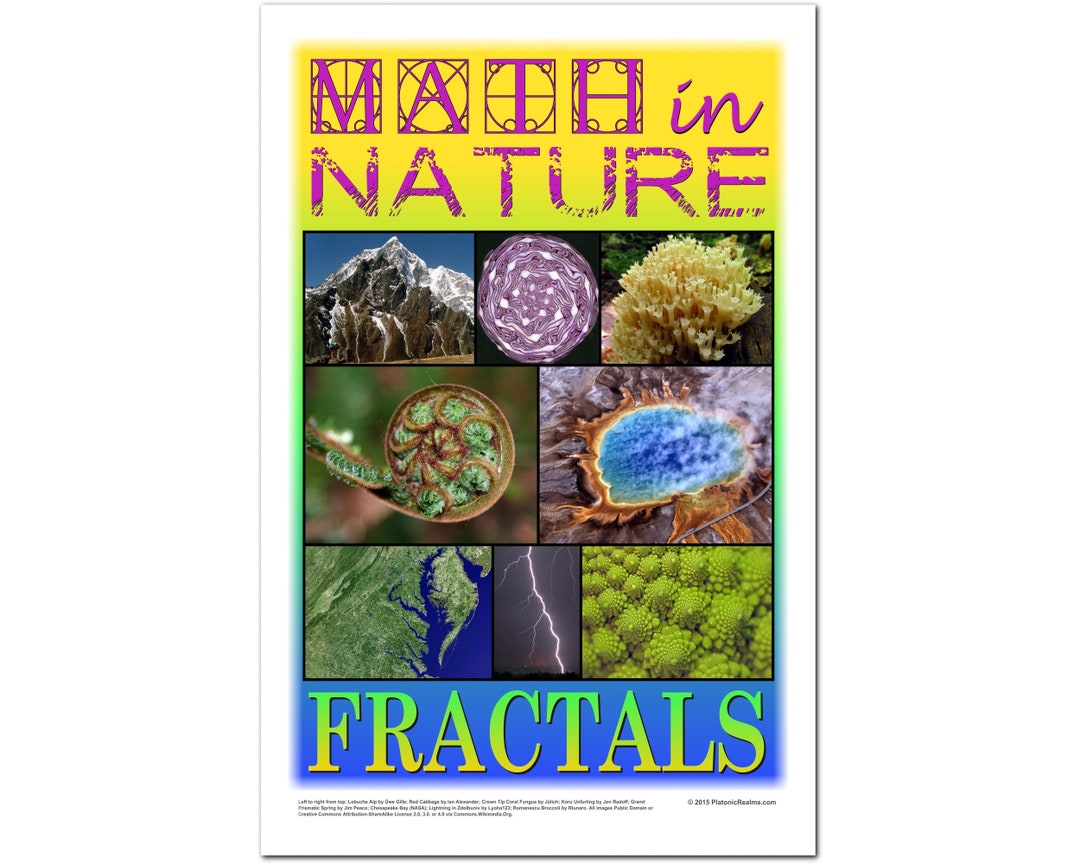 Math in Nature Classroom Math Poster: Fractals, Educational Wall Art ...