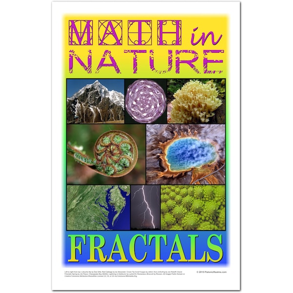 Math in Nature Poster - Etsy