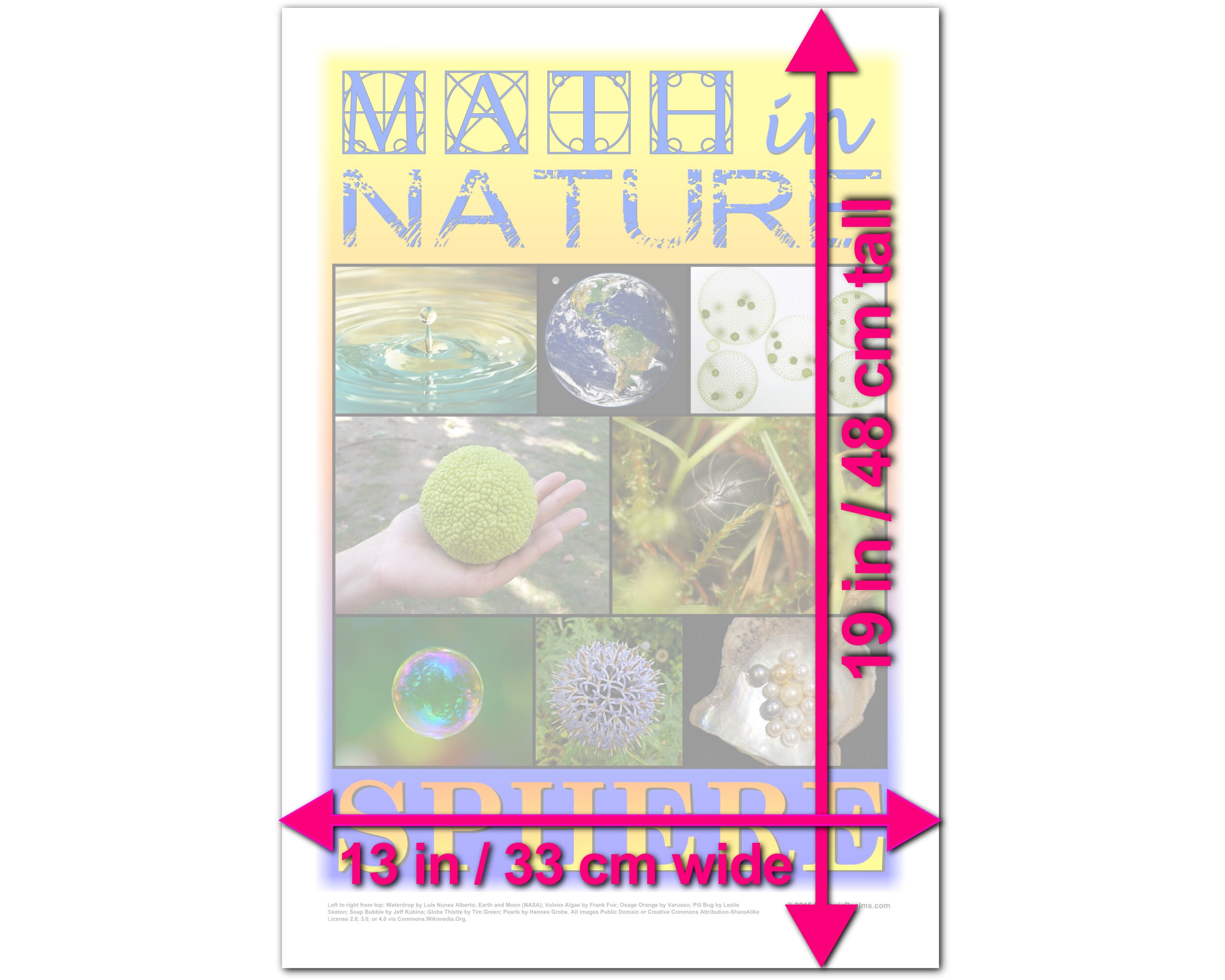 Math in Nature Classroom Math Poster: Sphere, Educational for Middle ...