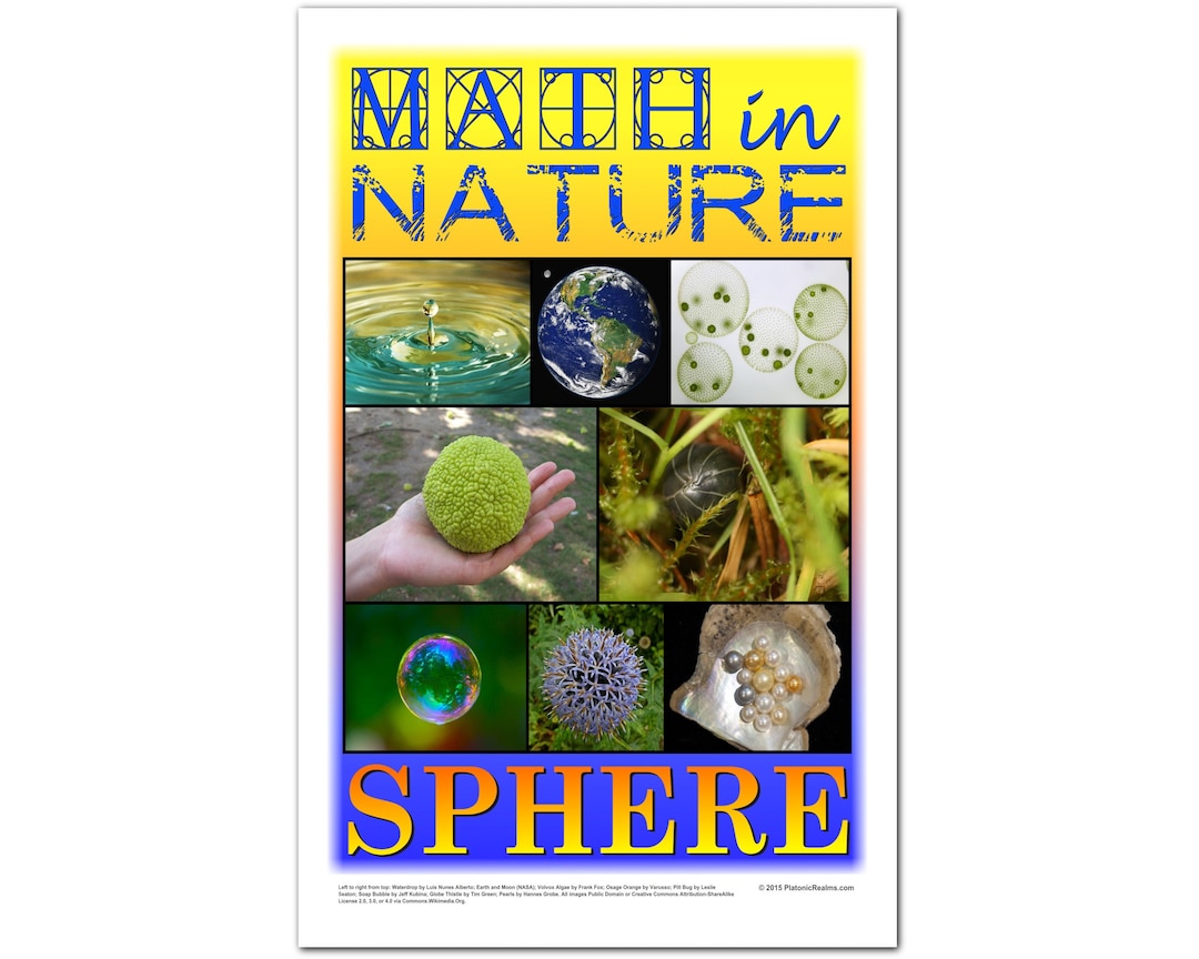 Math in Nature Classroom Math Poster: Sphere, Educational for Middle ...