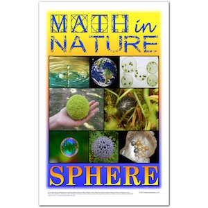 Math in Nature Classroom Math Poster: Sphere, Educational for Middle ...