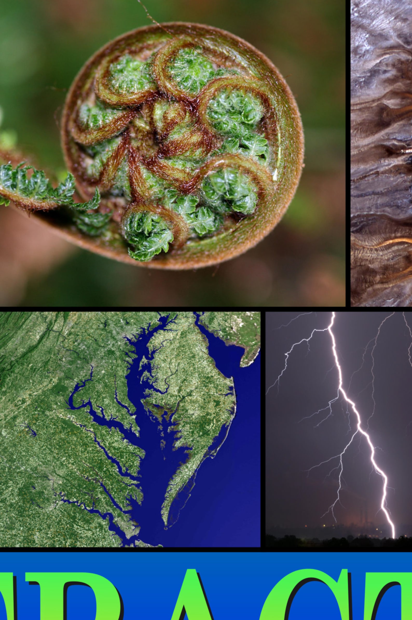 Math in Nature Set of 4 Classroom Math Posters: Fractals, Sphere ...