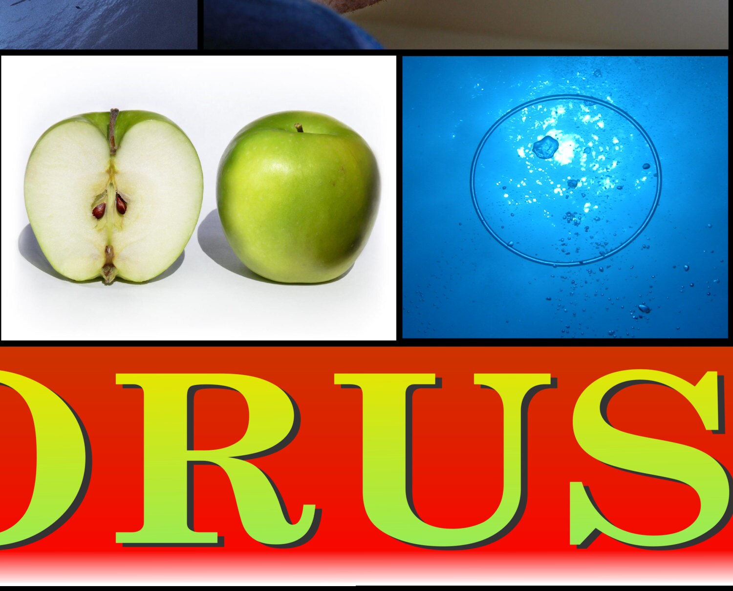 Math in Nature Classroom Math Poster: Torus, Educational Wall Art for ...