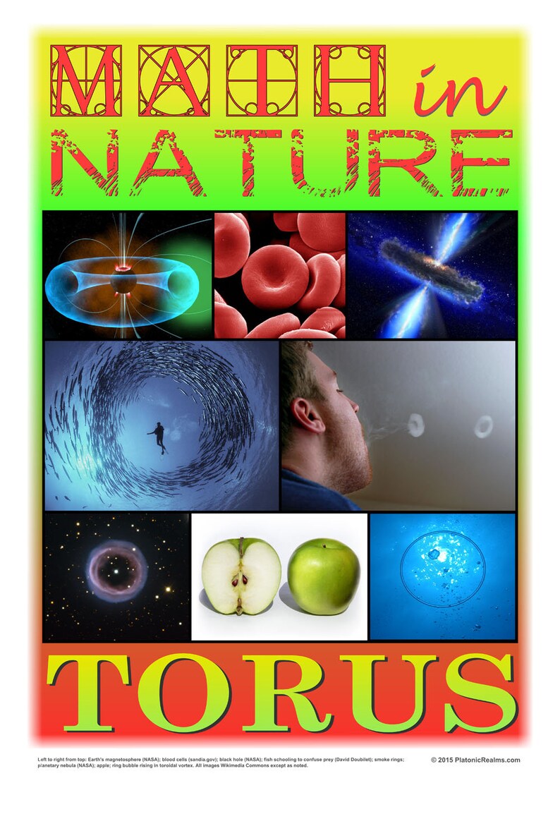 math-in-nature-set-of-4-classroom-posters-fractals-sphere-etsy