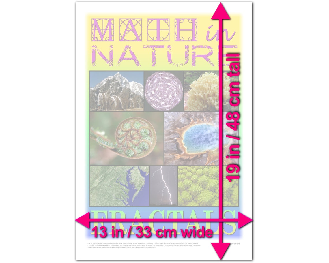 Math in Nature Classroom Math Poster: Fractals, Educational Wall Art ...
