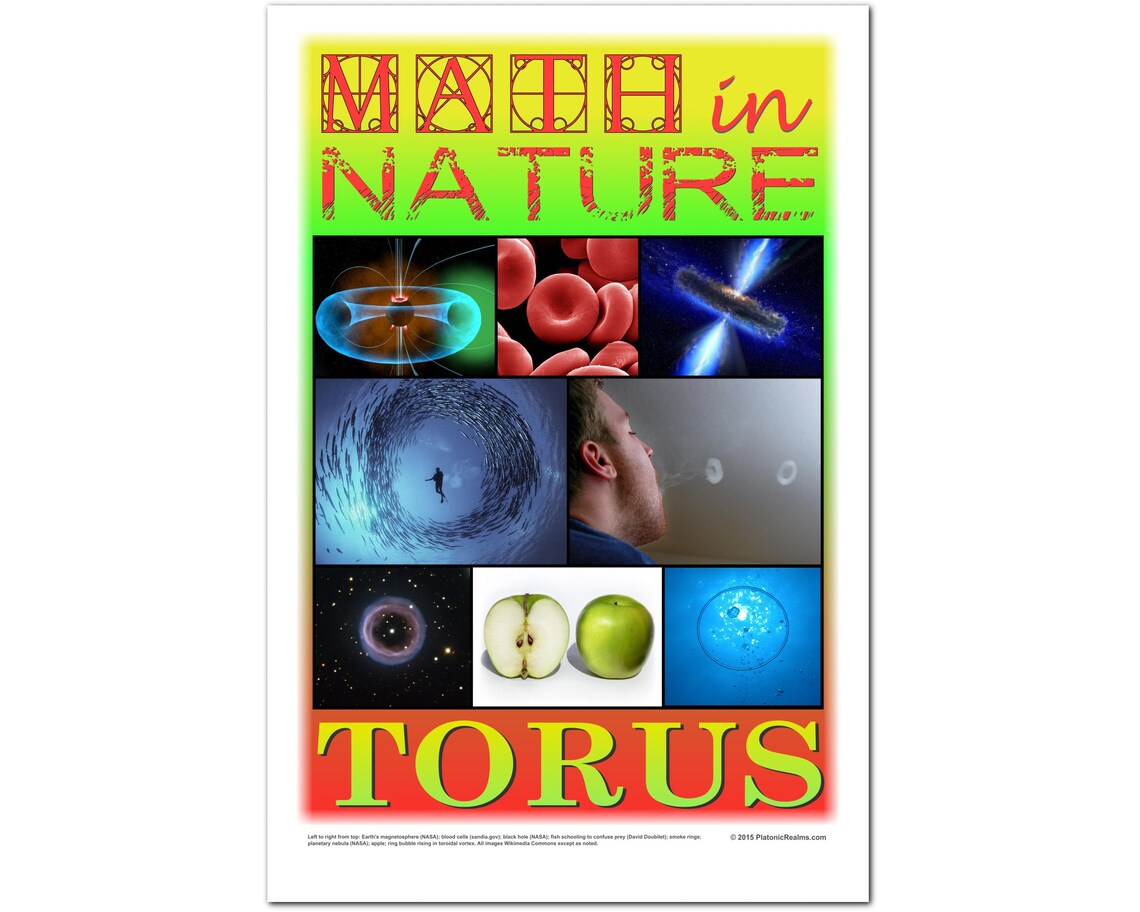 Math in Nature Classroom Math Poster: Torus, Educational Wall Art for ...