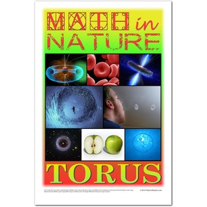 Math in Nature Classroom Poster: Torus - Etsy