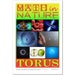 Math in Nature Classroom Math Poster: Torus, Educational Wall Art for ...