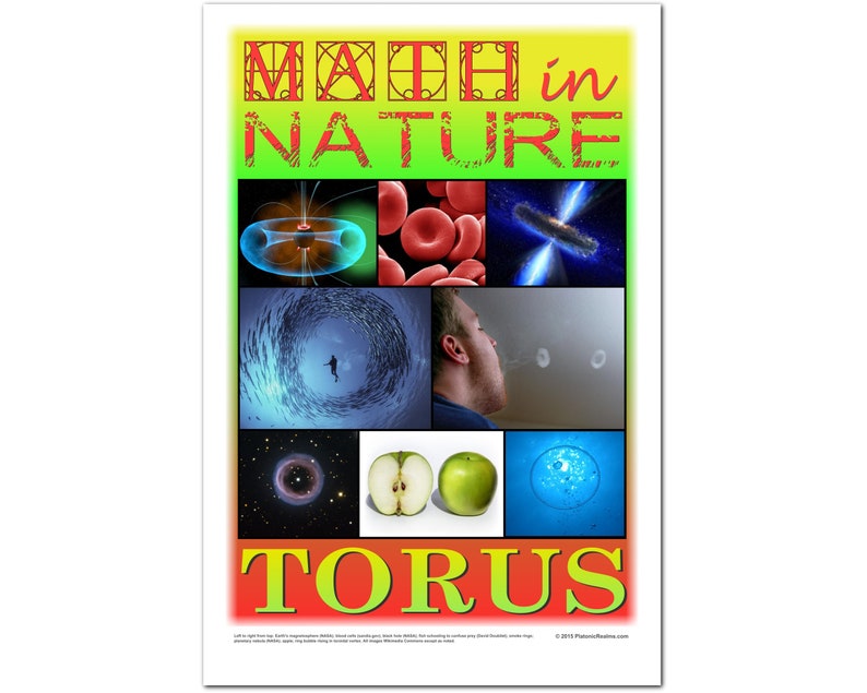 Math in Nature Classroom Math Poster: Torus, Educational Wall Art for ...