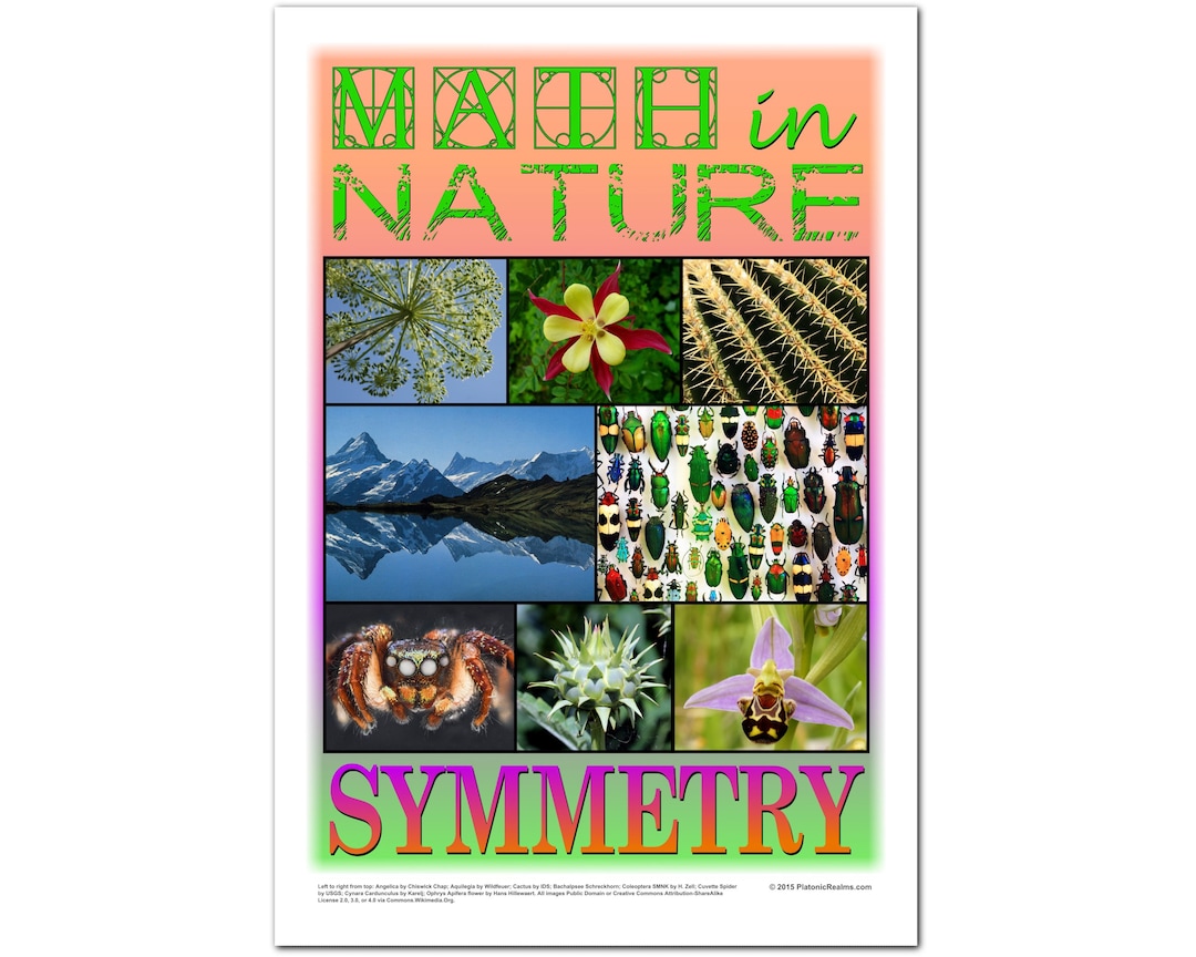 Math in Nature Classroom Math Poster: Symmetry, Educational Wall Art ...