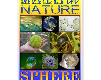 Math in Nature Classroom Poster: Torus | Etsy